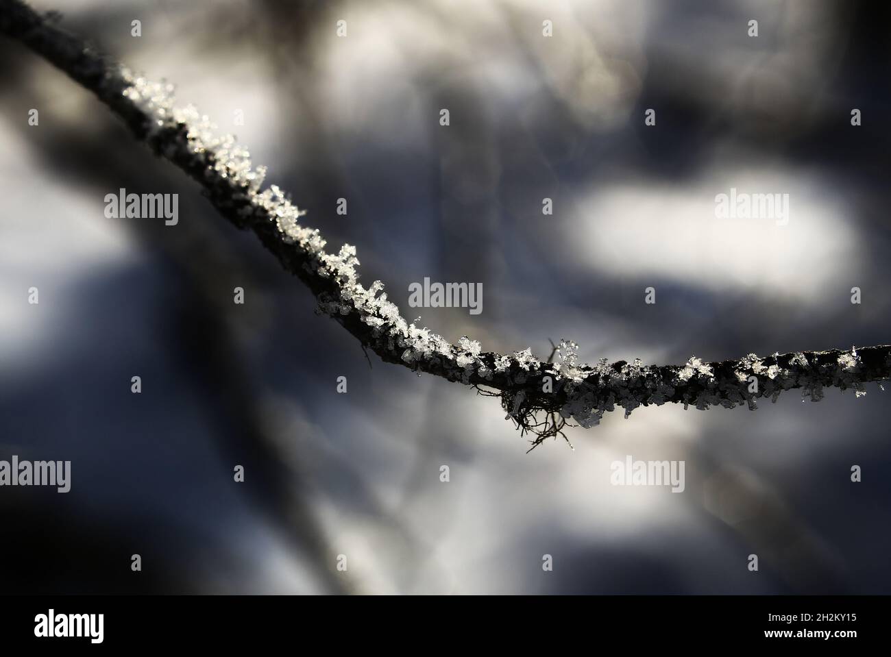 Closeup ice crystals shallow hi-res stock photography and images - Alamy