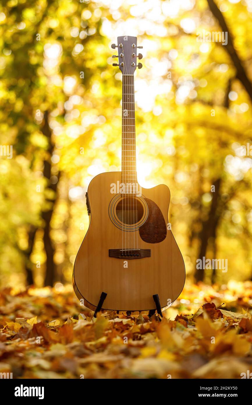 Acoustic guitar in autumn background Stock Photo - Alamy