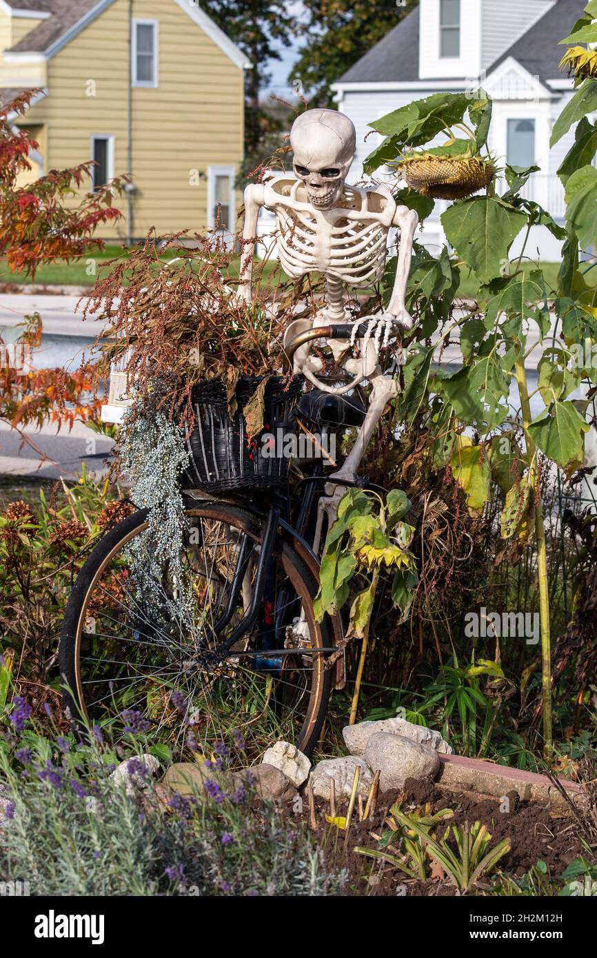 Skeleton riding hi-res stock photography and images - Alamy