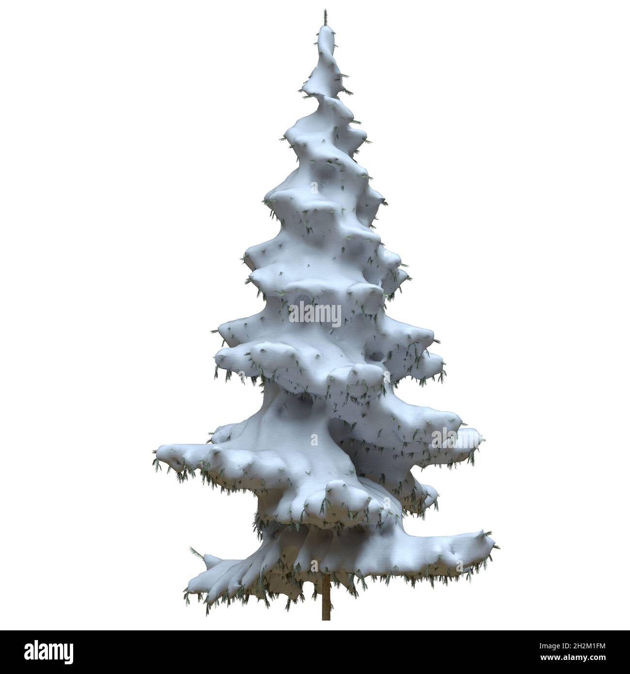 3D illustration winter fir tree in the snow isolated on white ...