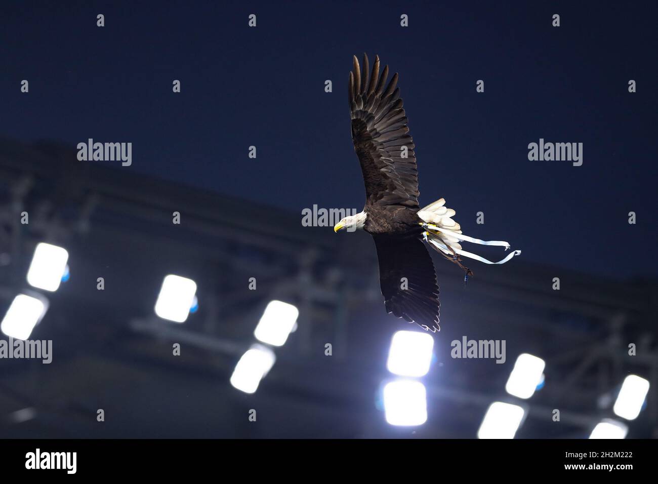 Ss eagle hi-res stock photography and images - Alamy