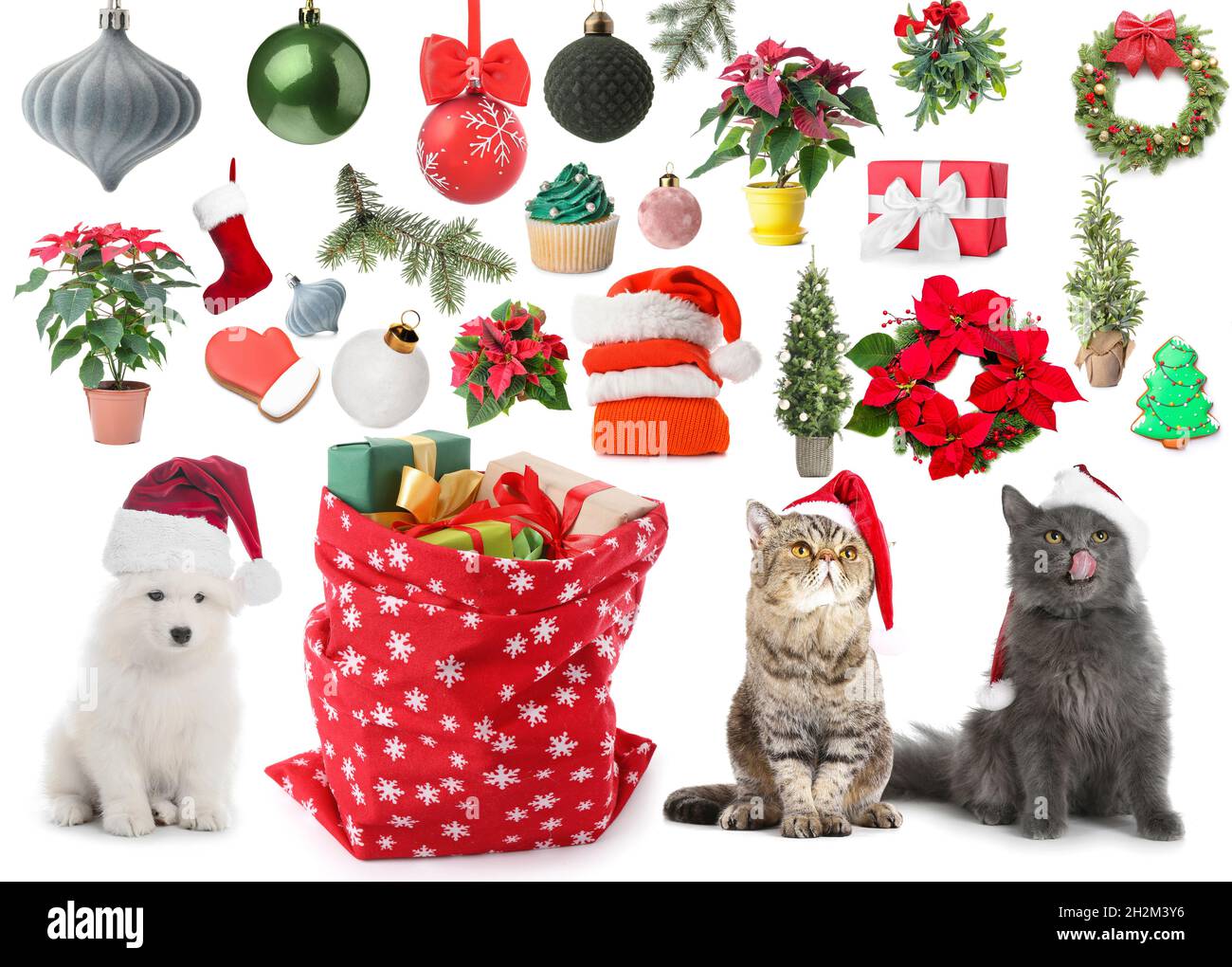 Christmas collage with cute animals and Santa bag on white background ...