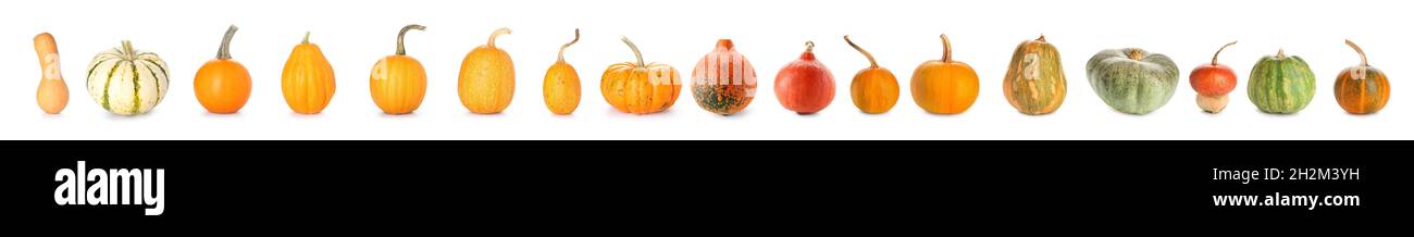 Farm fall festival pumpkins Cut Out Stock Images & Pictures - Alamy