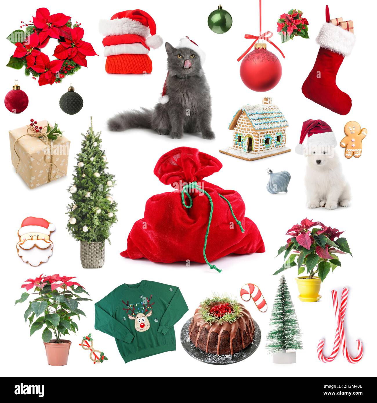 Christmas collage with cute animals and Santa bag on white background ...