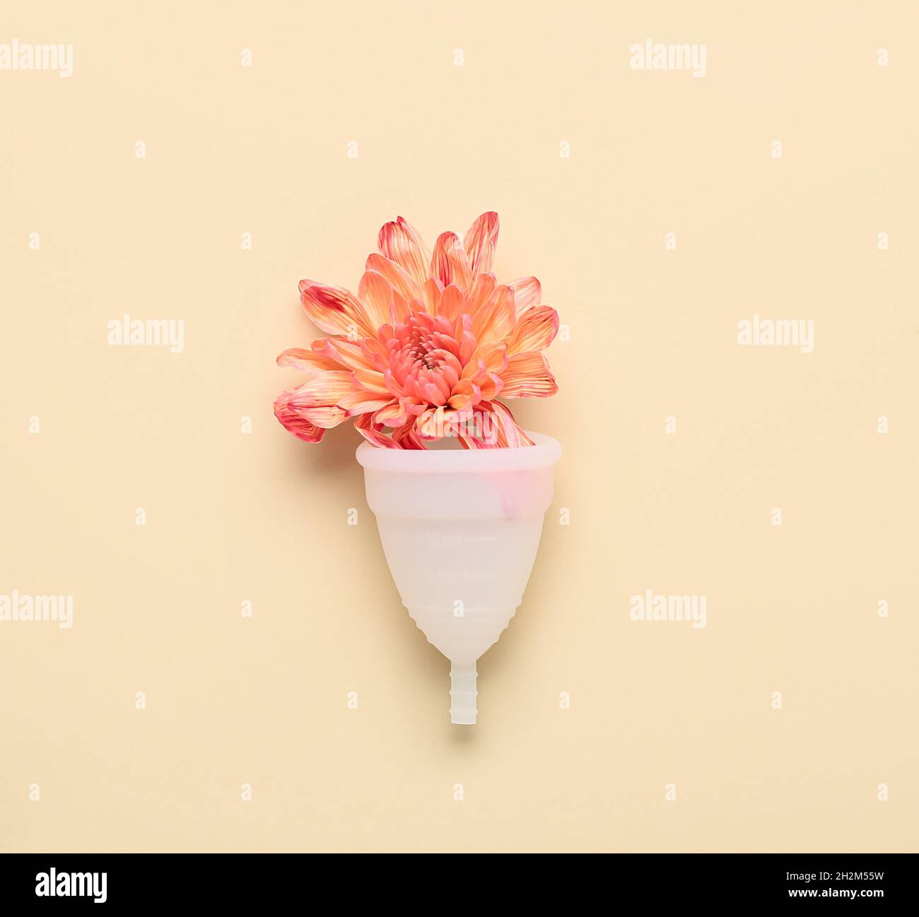 Menstrual cup with flower on color background Stock Photo - Alamy