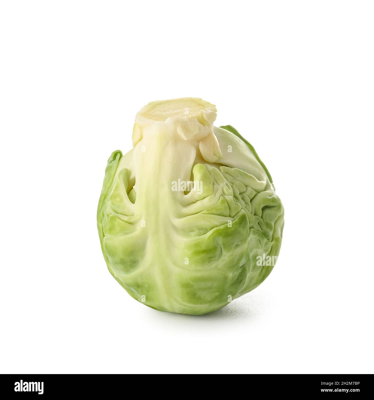 Fresh ripe Brussels cabbage on white background Stock Photo - Alamy