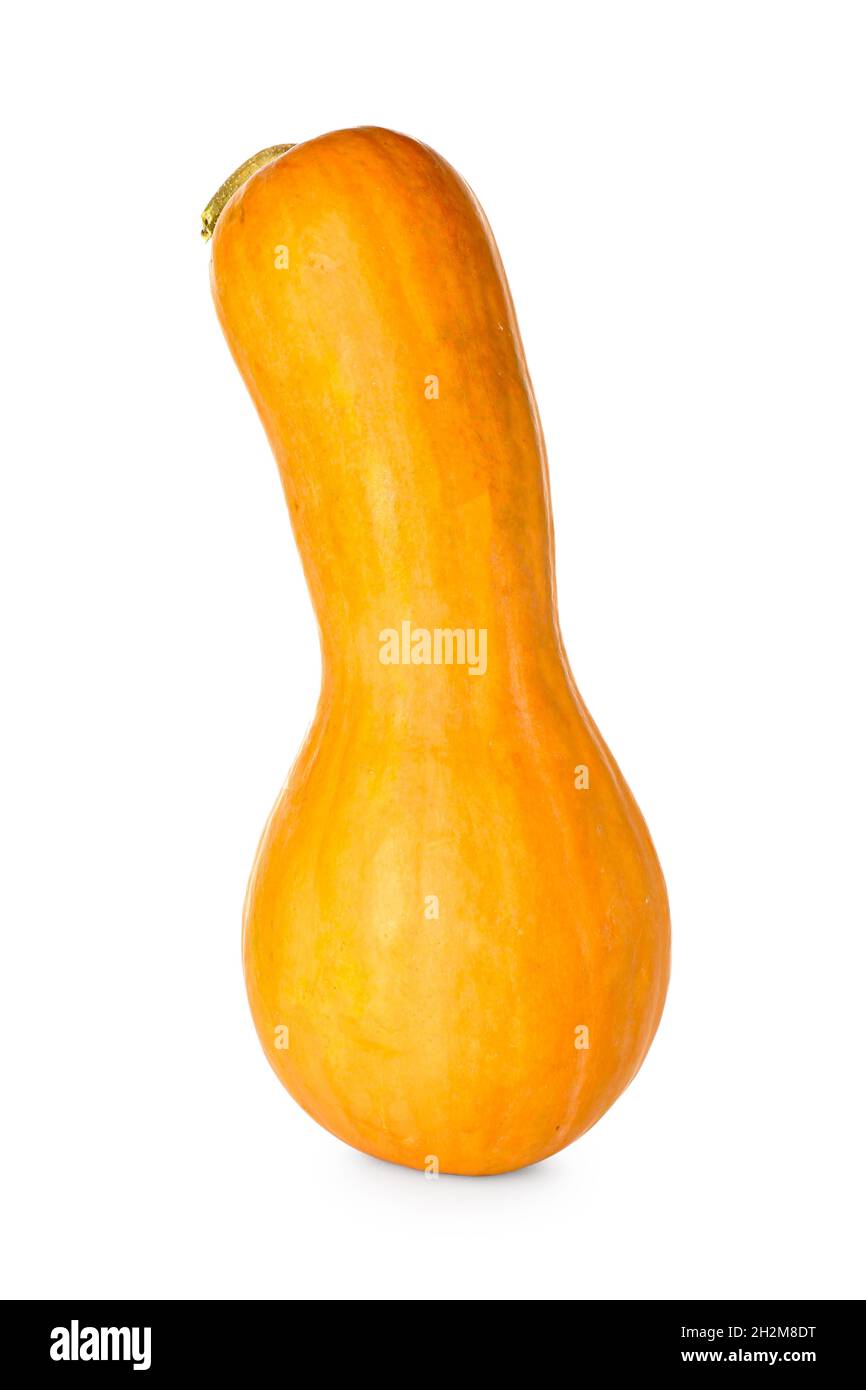 Whole fresh squash on white background Stock Photo - Alamy