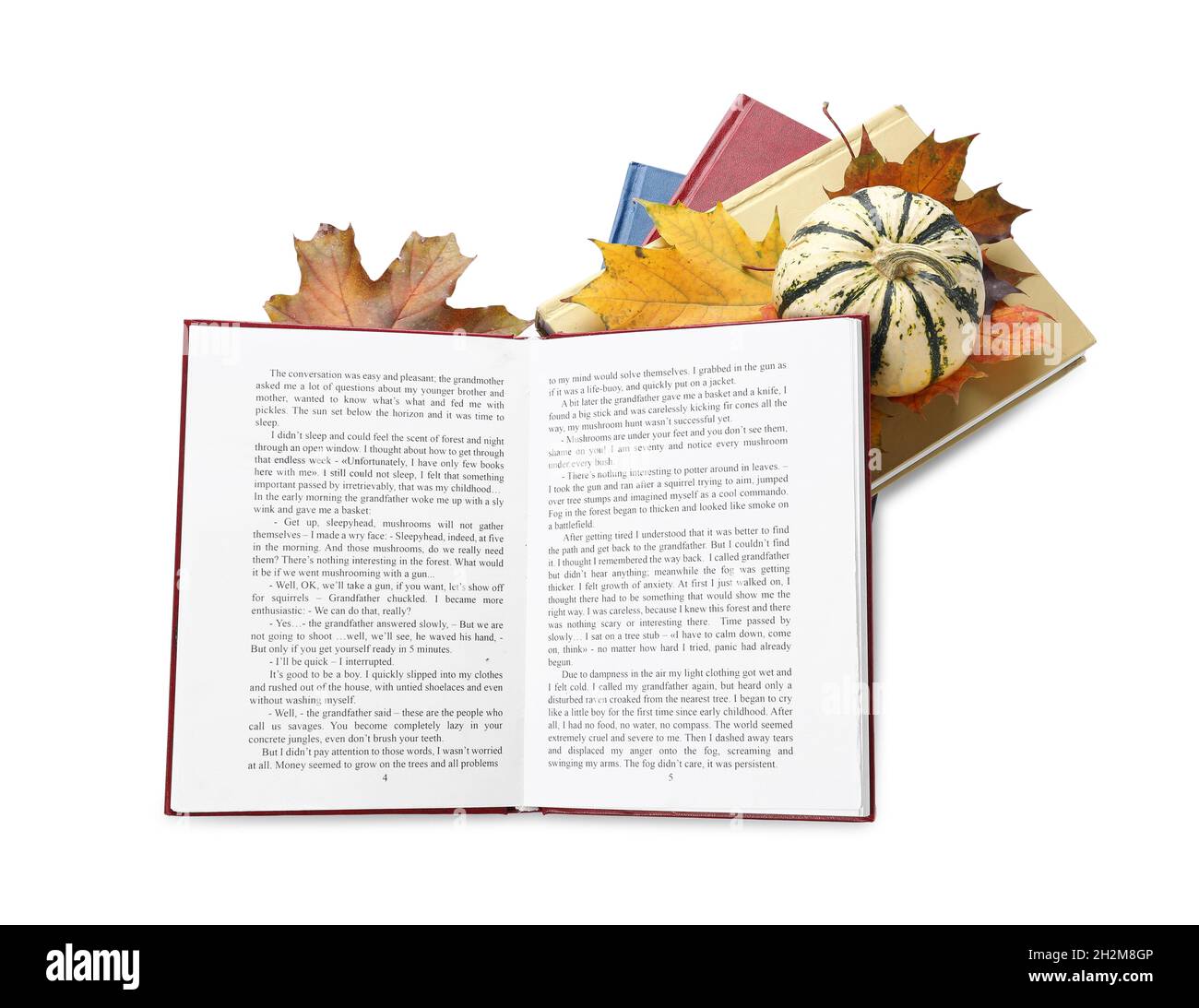 Books, autumn leaves and pumpkin on white background Stock Photo - Alamy