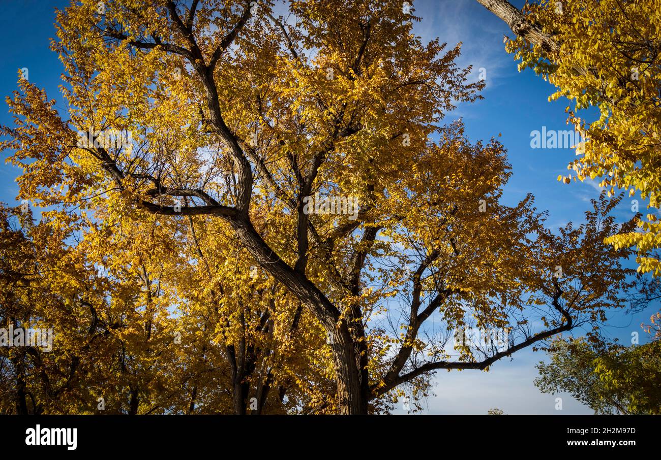 Dim evening light hi-res stock photography and images - Alamy