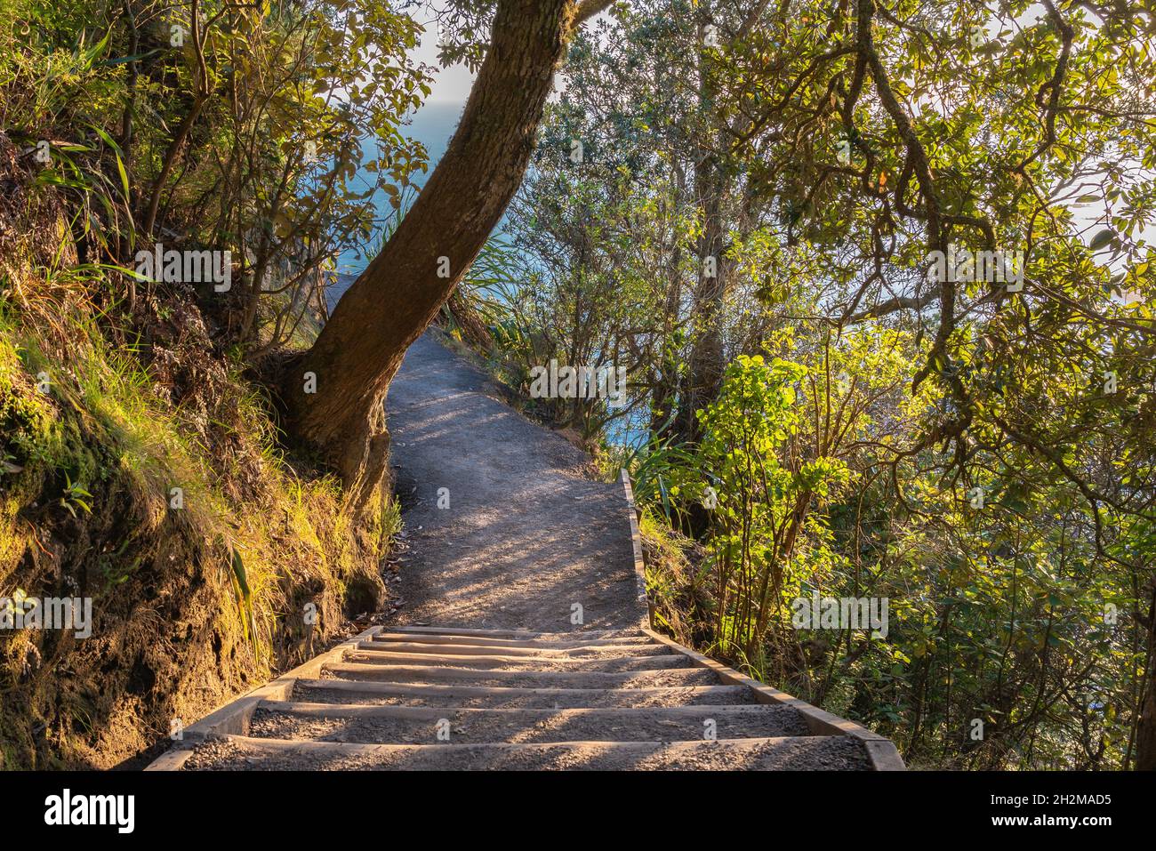 Pathway up and down Mount Maunganui, one of country's most popular ...