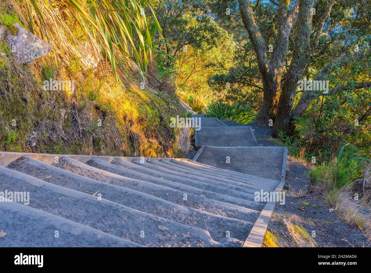 Pathway up and down Mount Maunganui, one of country's most popular ...