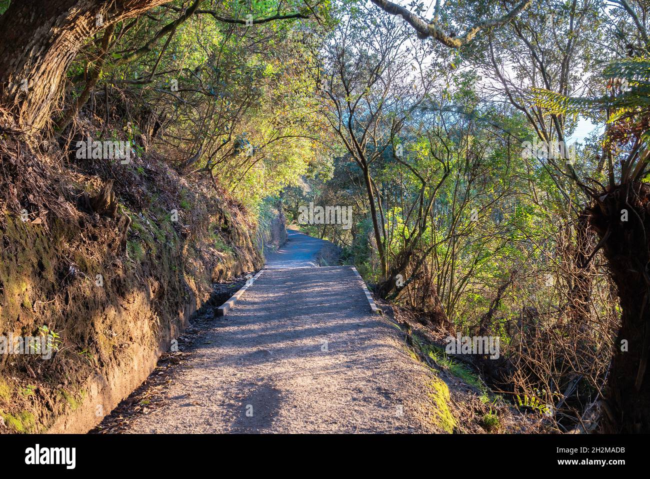 Pathway up and down Mount Maunganui, one of country's most popular ...