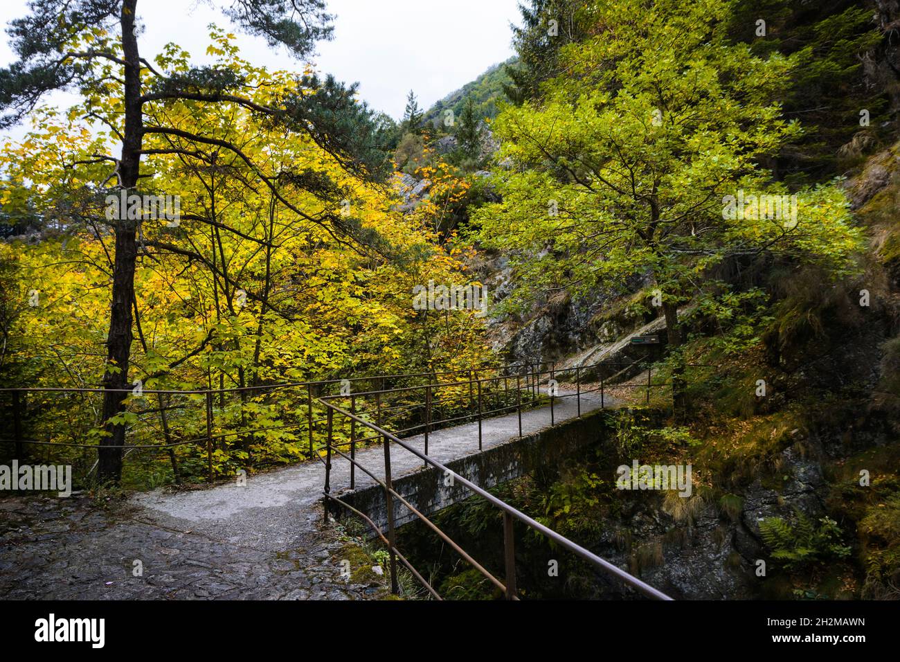 Yellow dam hi-res stock photography and images - Alamy