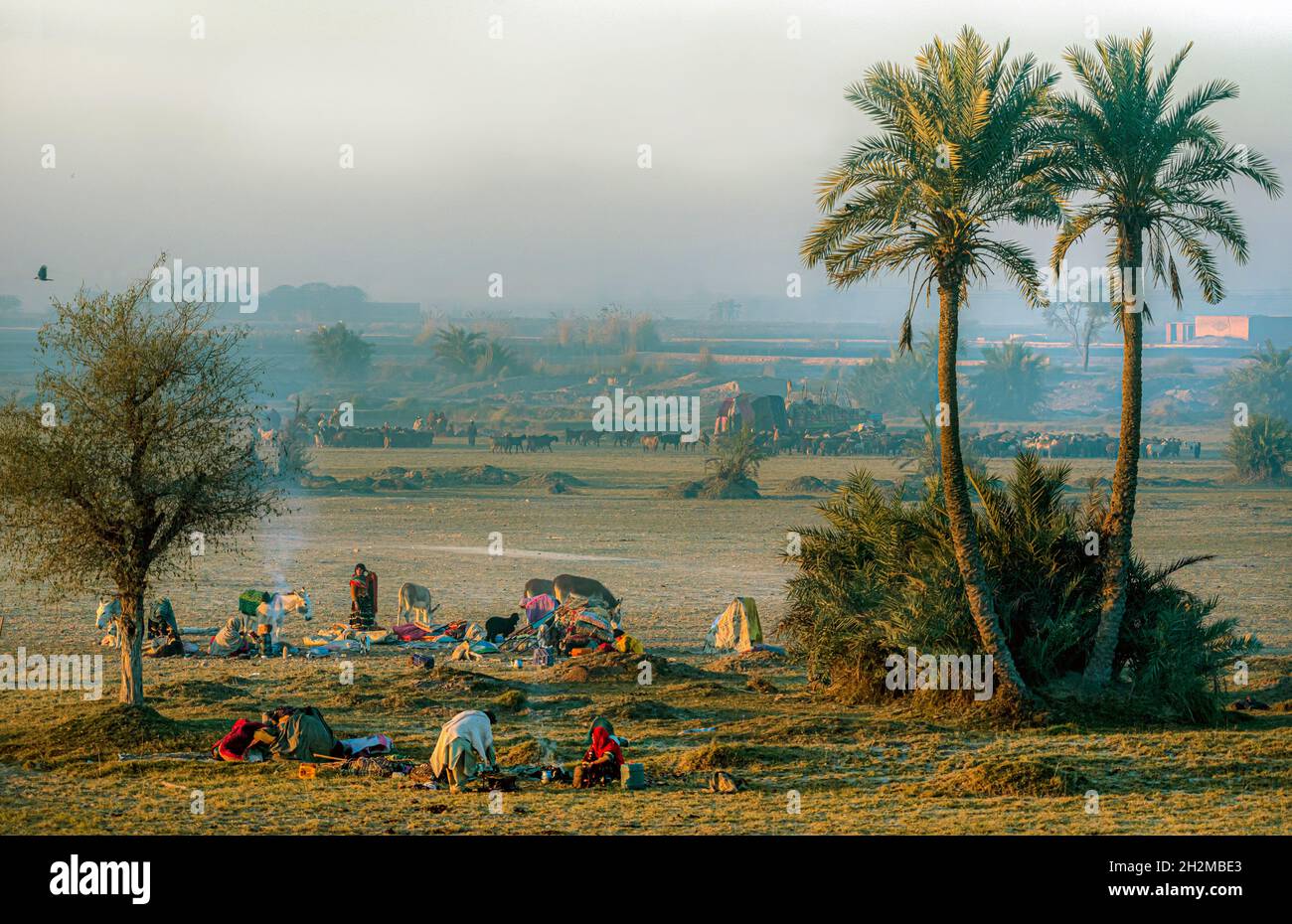 nomadic life of shepherds , shepherds with their animals Stock Photo ...