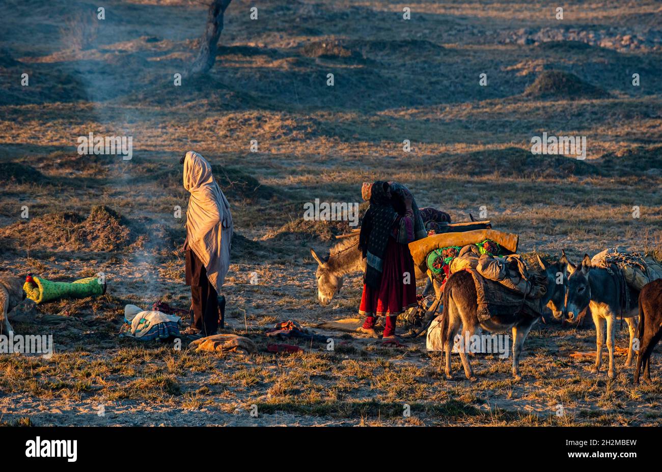 nomadic life of shepherds , shepherds with their animals Stock Photo ...