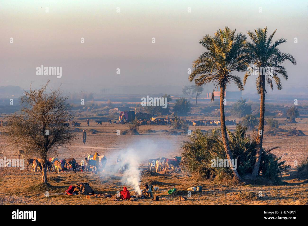 nomadic life of shepherds , shepherds with their animals Stock Photo ...