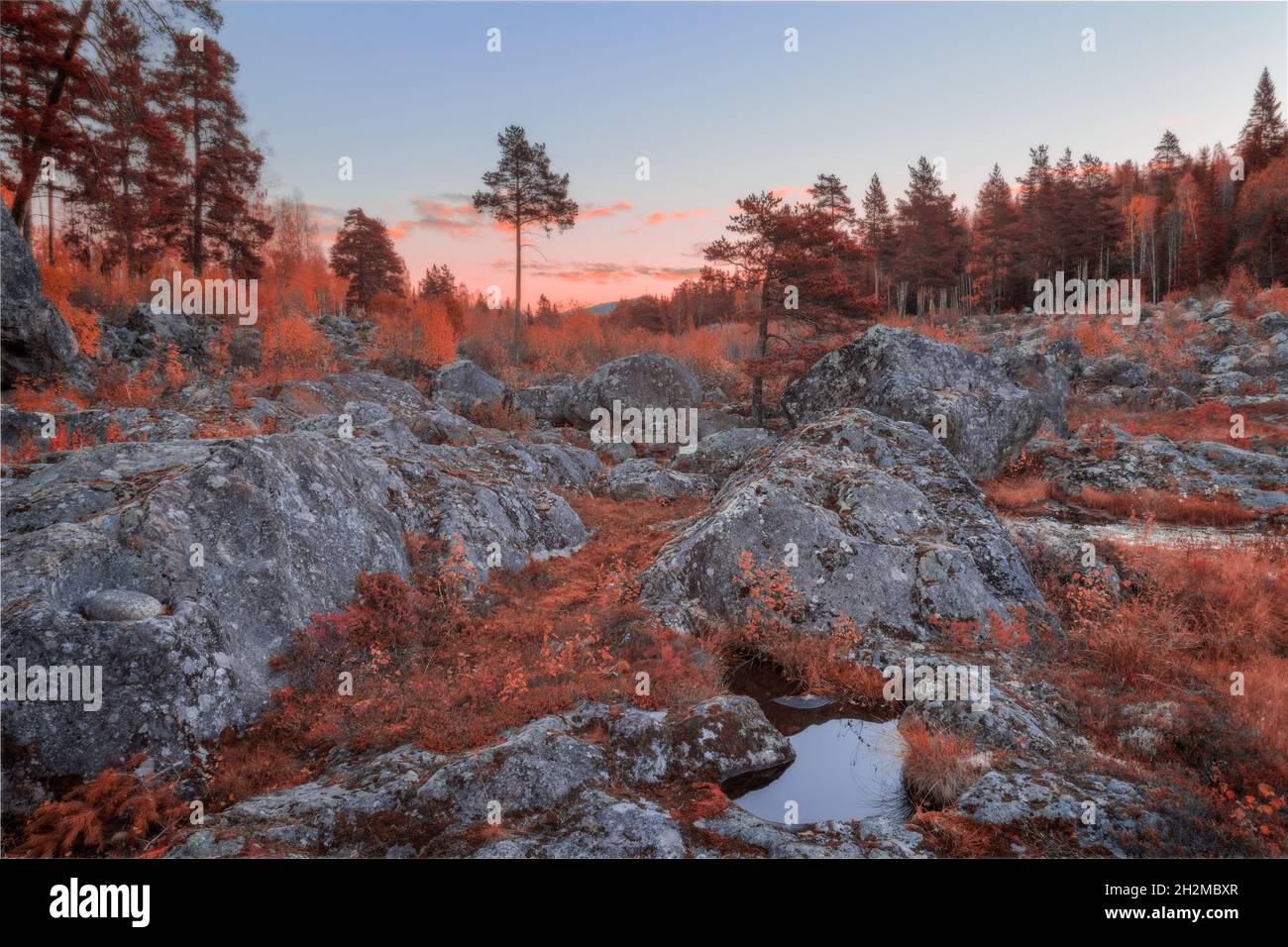 rock moon landscape with trees, rocks in red tones Stock Photo - Alamy