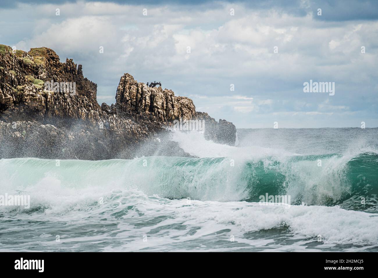 seascape with gloomy sky, sharp rocks and big waves on the sea. Rugged ...