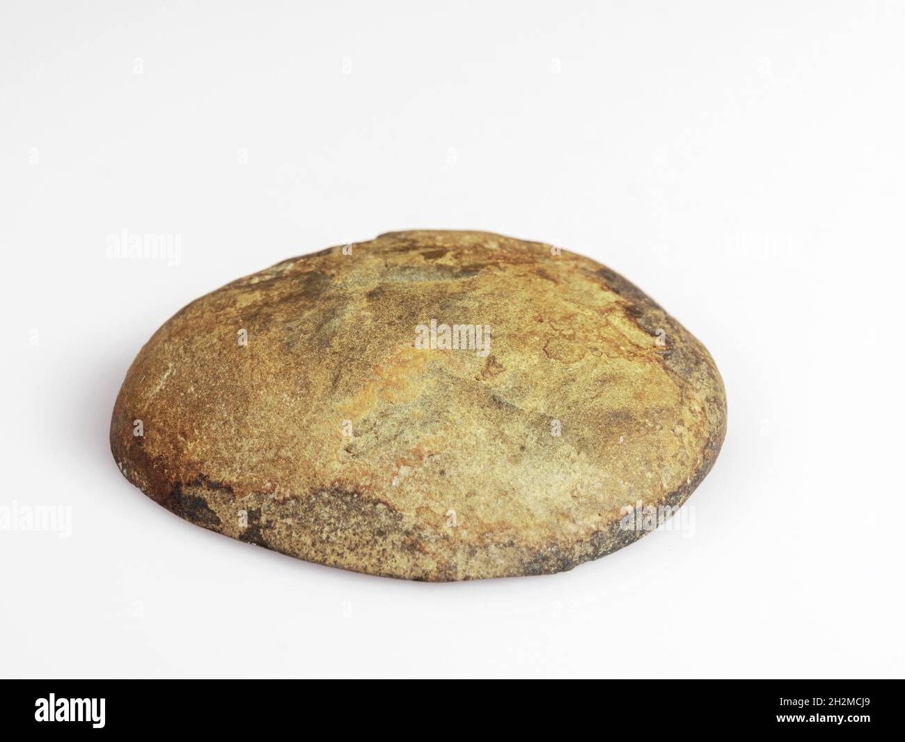 Turtle shell jewelry hi-res stock photography and images - Alamy