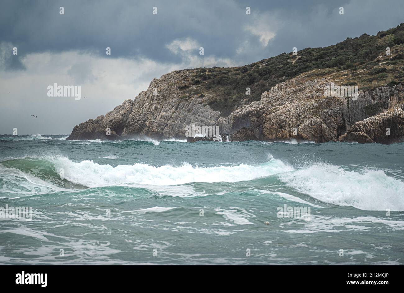 Beautiful sandy ocean beach with large rocks on the shore and in the ...