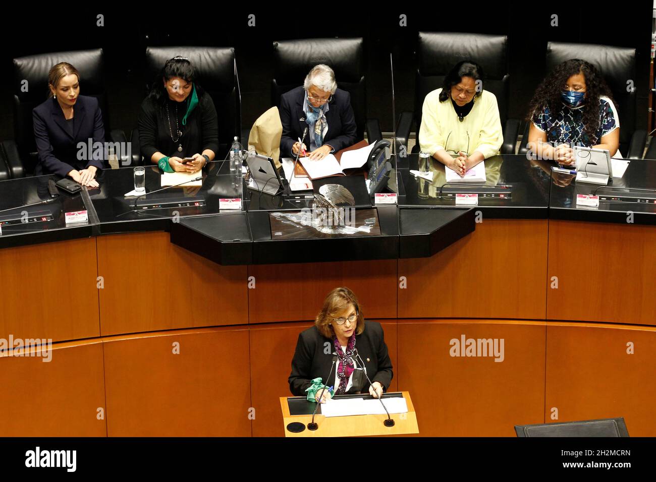 Non Exclusive: Martha Lucía Michel Camarena, Senator of the National ...