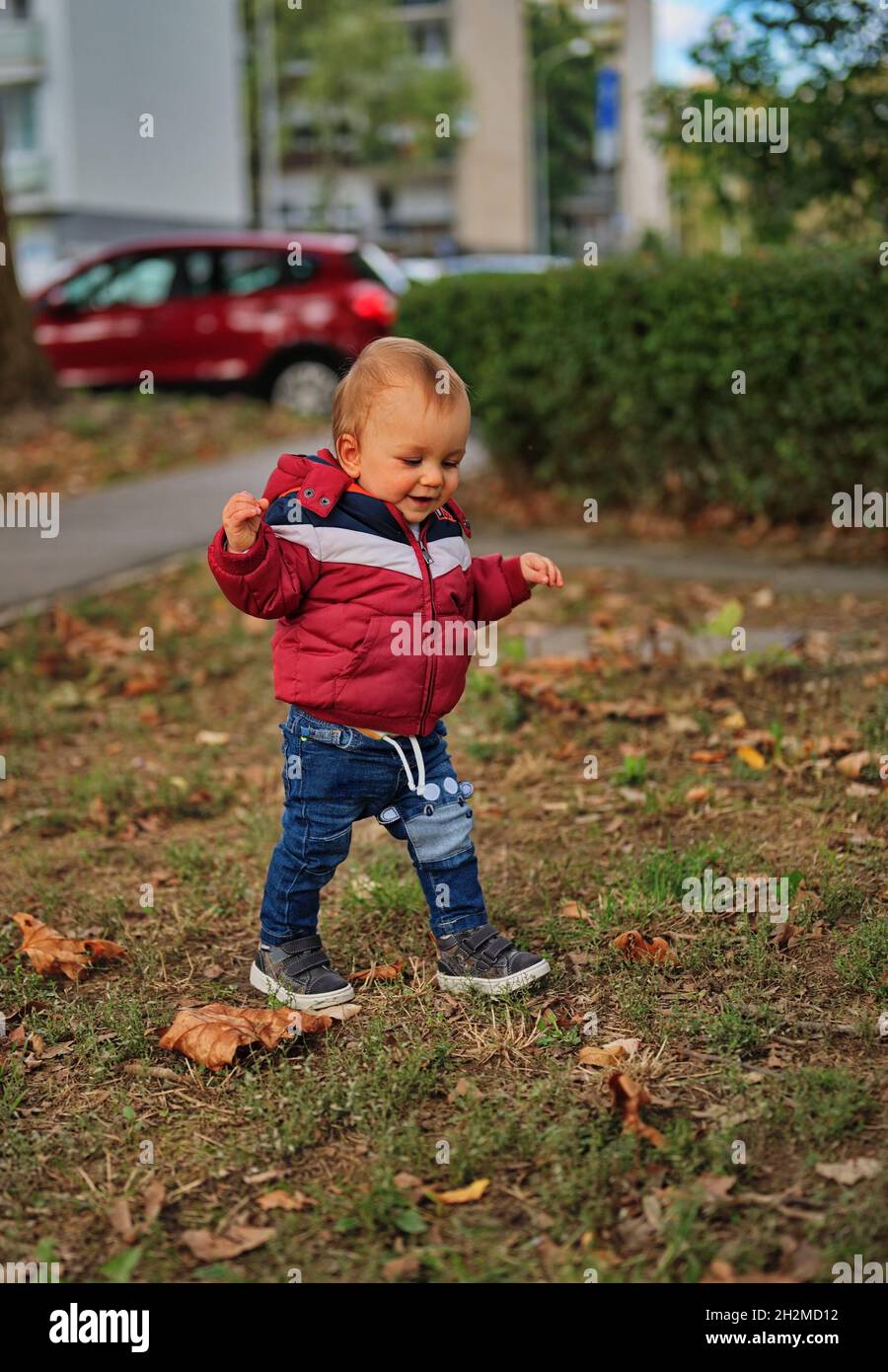 Little boy taking his first steps in the park Stock Photo - Alamy
