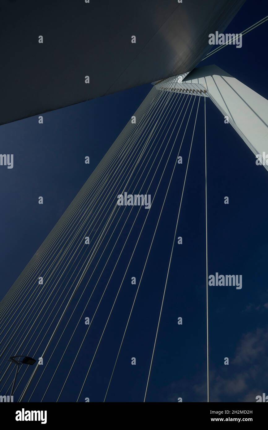 Landmark the Erasmus Bridge in the city centre of Rotterdam Stock Photo ...