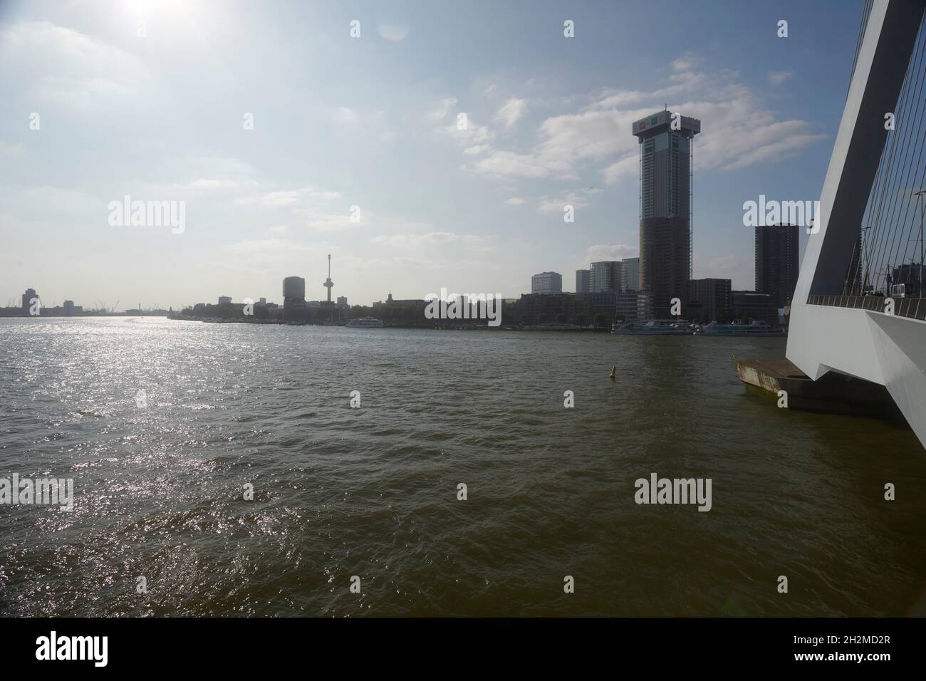 Landmark the Erasmus Bridge in the city centre of Rotterdam Stock Photo ...