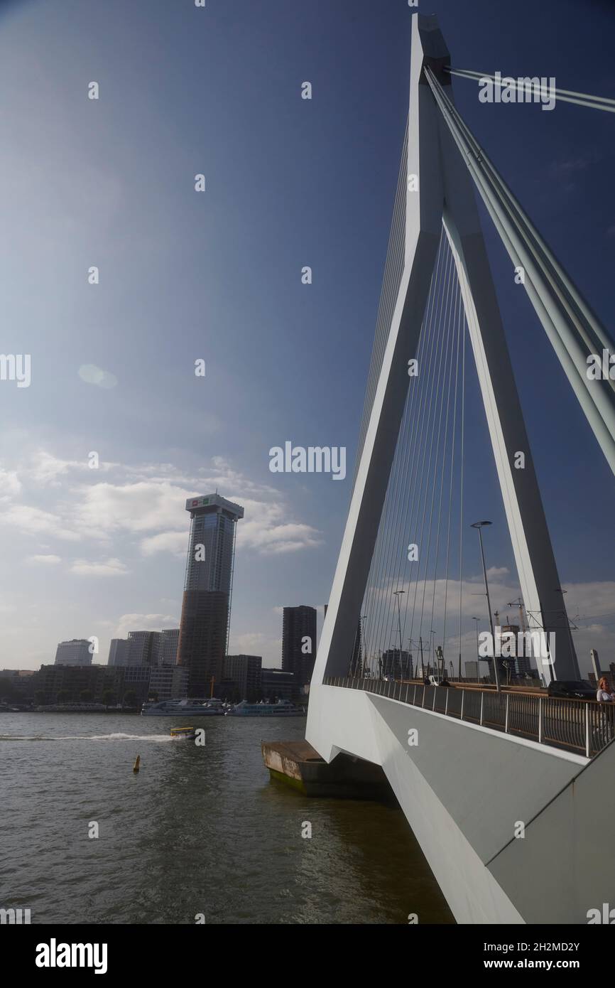 Landmark the Erasmus Bridge in the city centre of Rotterdam Stock Photo ...