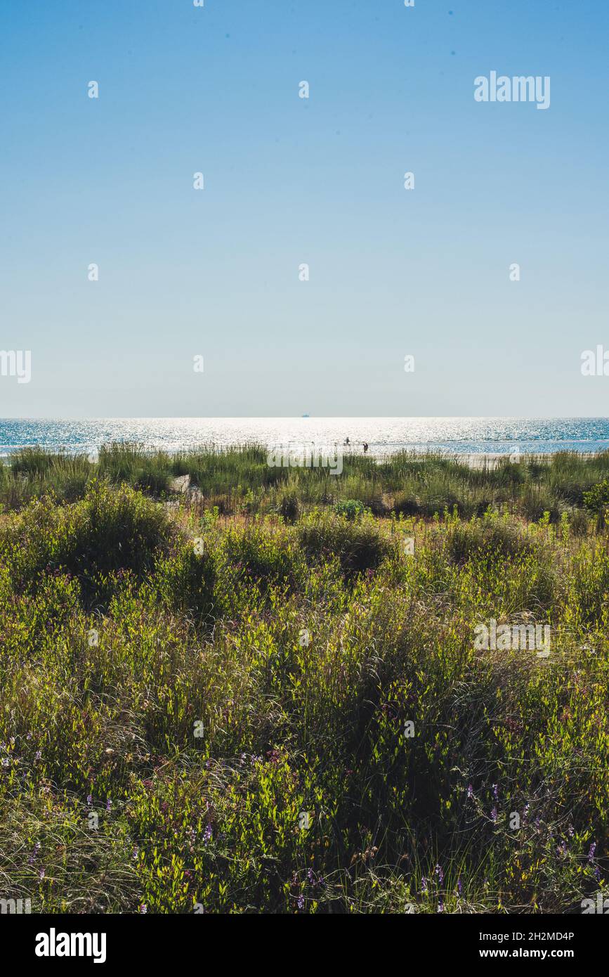 Porto Caleri natural park Italy Stock Photo - Alamy