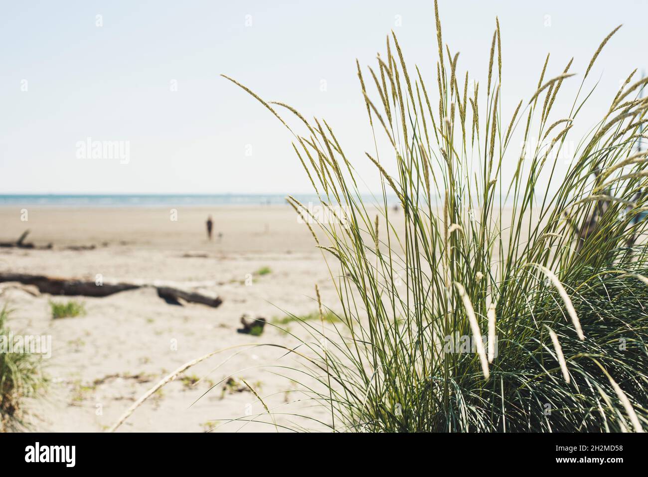 Porto caleri hi-res stock photography and images - Alamy