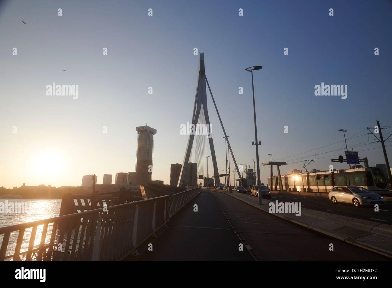 Landmark the Erasmus Bridge in the city centre of Rotterdam Stock Photo ...