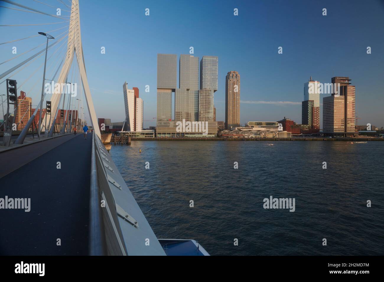 Landmark the Erasmus Bridge in the city centre of Rotterdam Stock Photo ...