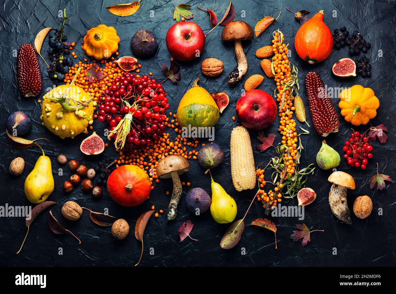 Collection of autumn fruits, vegetables and berries.Autumn nature ...