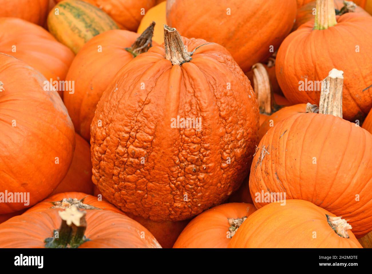Skin carving hi-res stock photography and images - Alamy