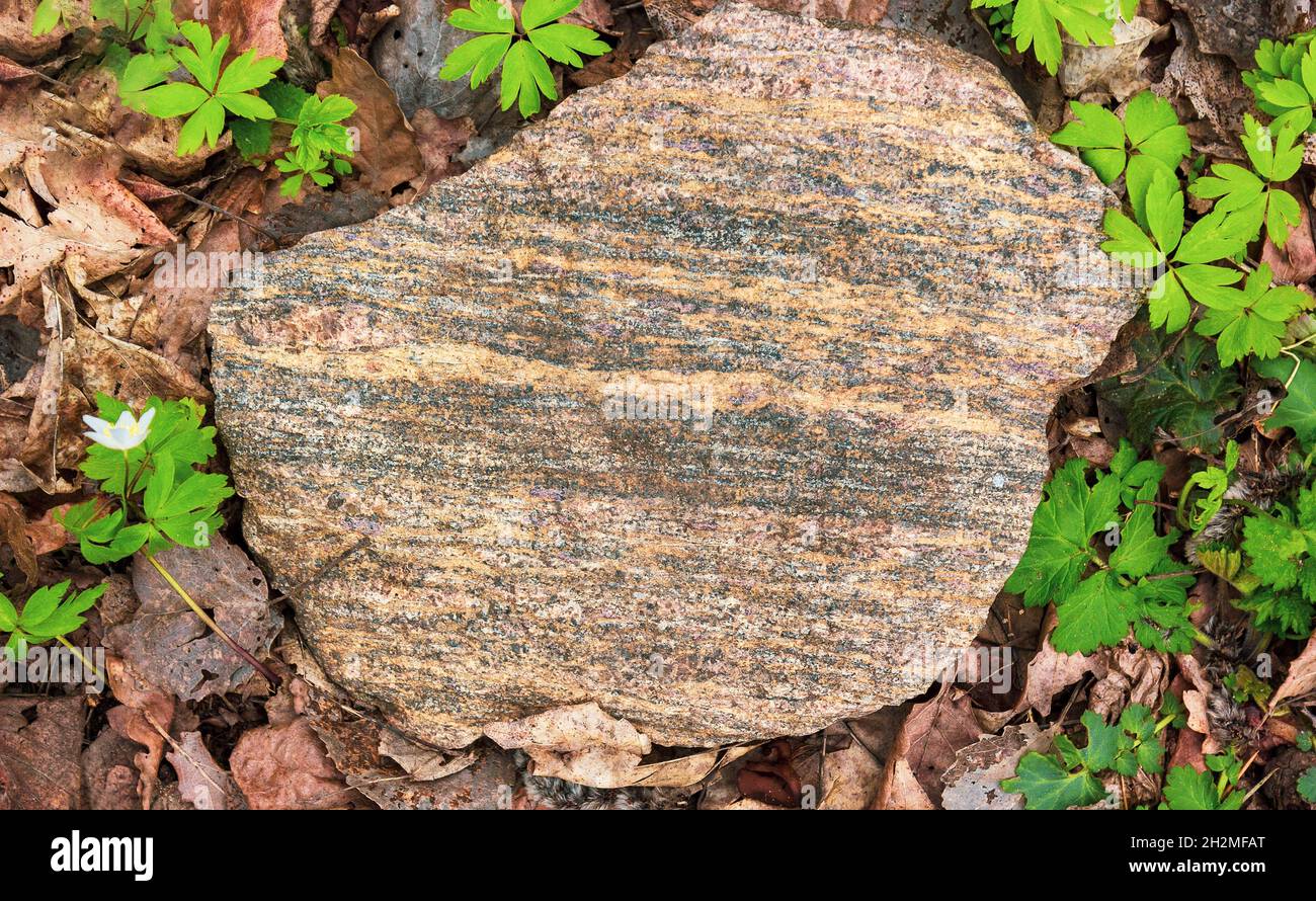 Flat stone on ground hi-res stock photography and images - Alamy