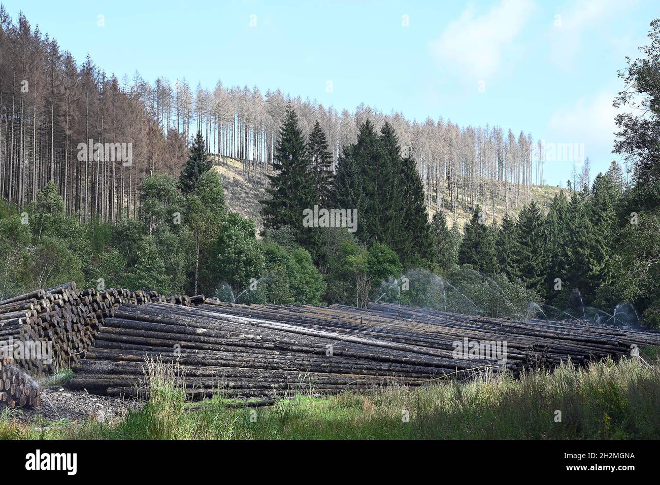 Wet wood storage area hi-res stock photography and images - Alamy