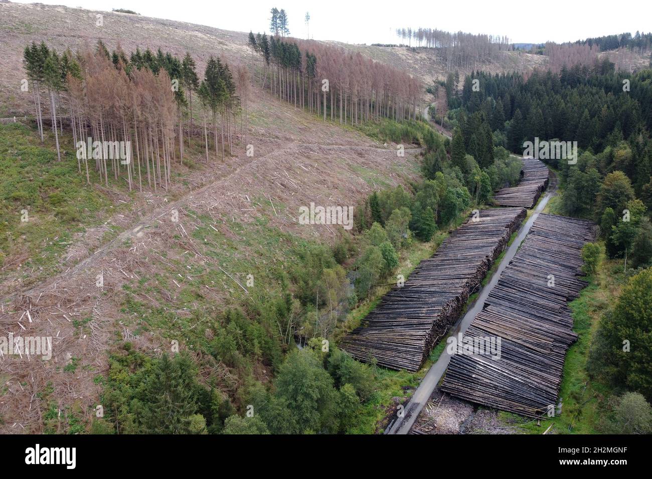 Wet wood storage area hi-res stock photography and images - Alamy