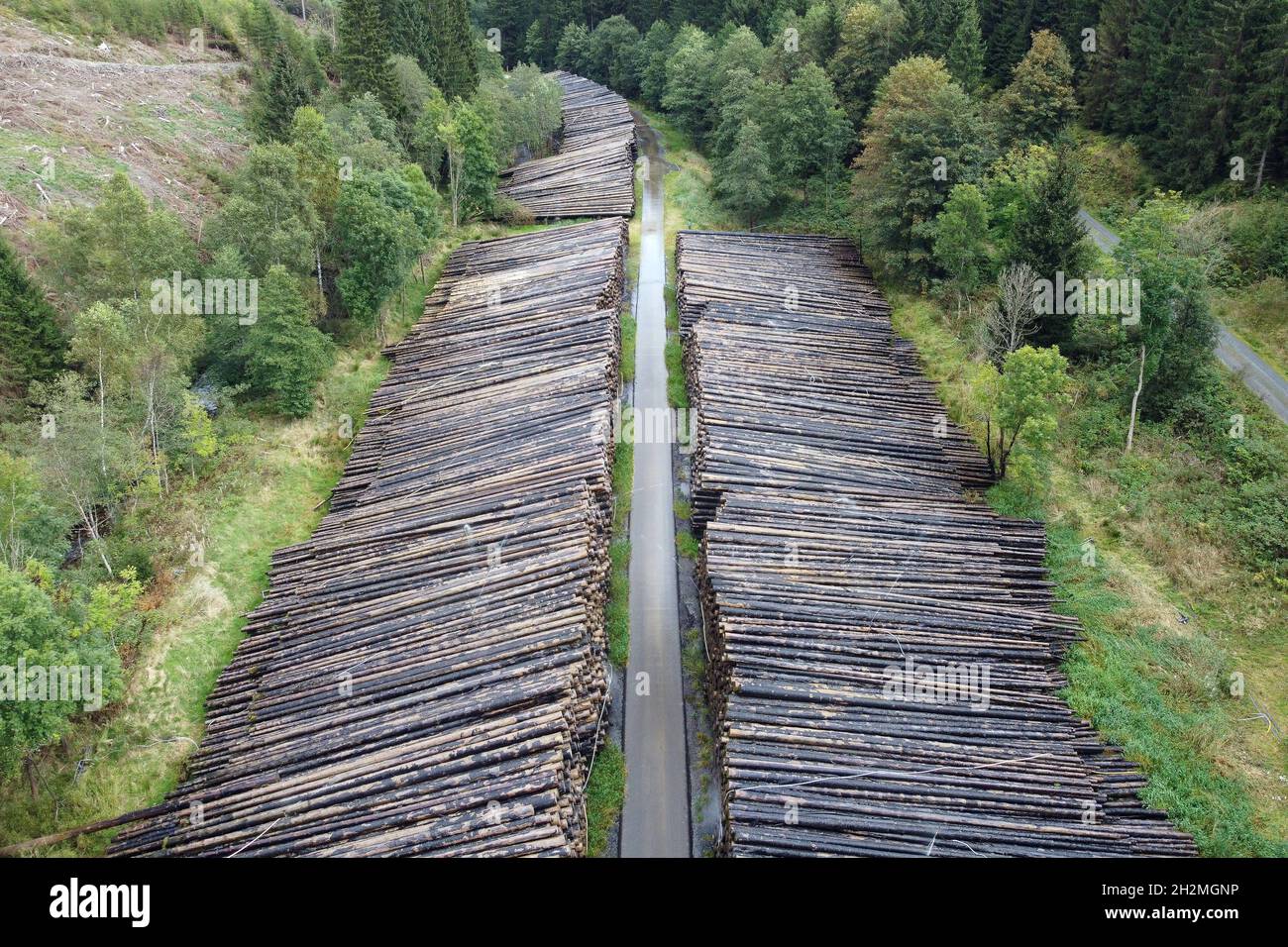 Wet wood storage area hi-res stock photography and images - Alamy