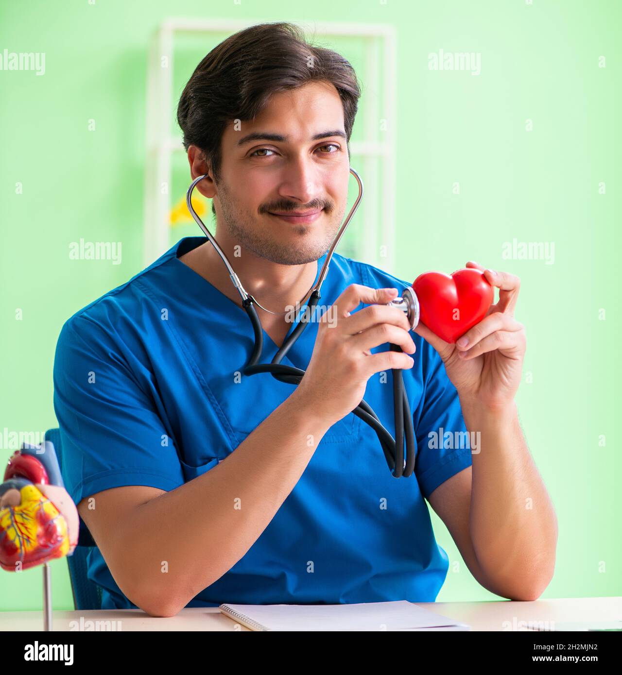 The doctor student explaining heart problems Stock Photo - Alamy