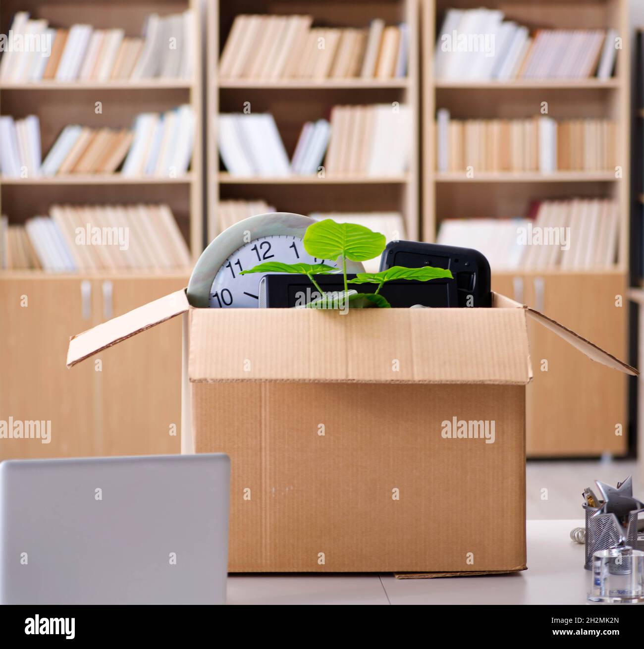Resignation box and plant hi-res stock photography and images - Alamy