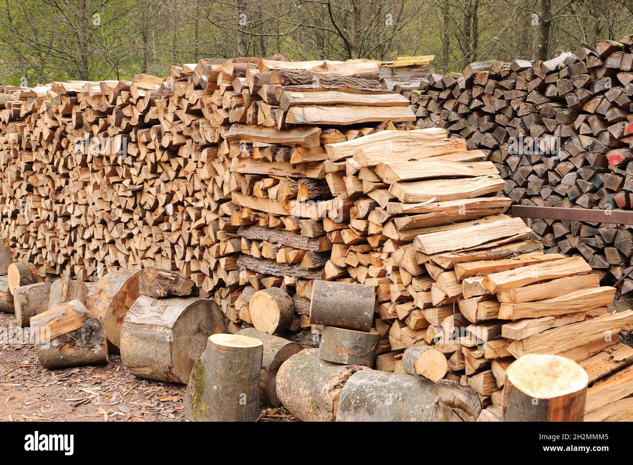 many split wood as firewood Stock Photo - Alamy