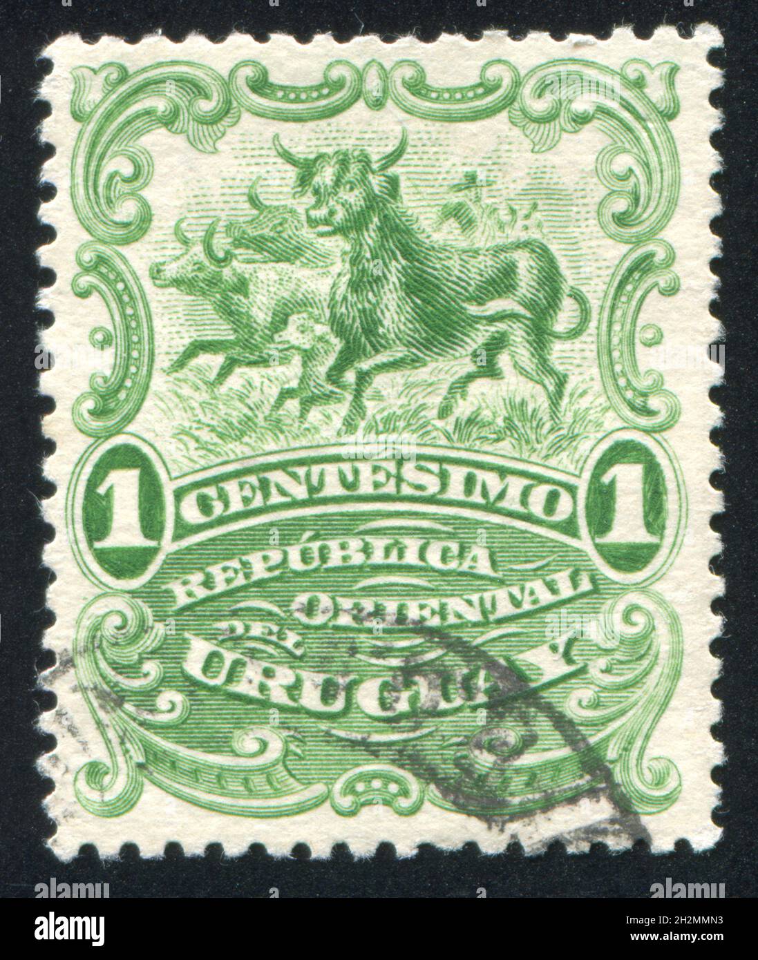 URUGUAY - CIRCA 1900: stamp printed by Uruguay, shows Cattle, circa ...