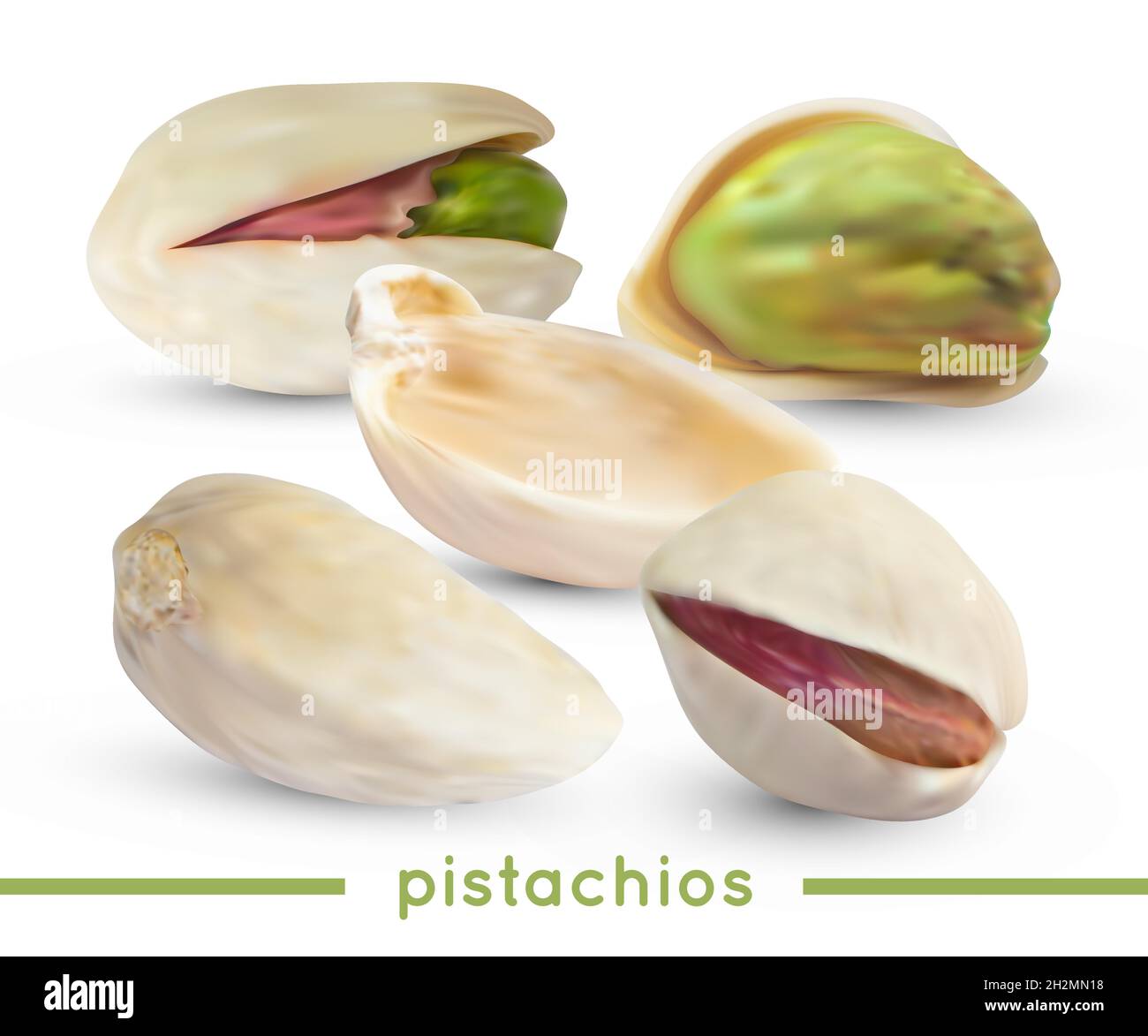 Vector realistic raw pistachio nuts with shell. Snack food illustration ...