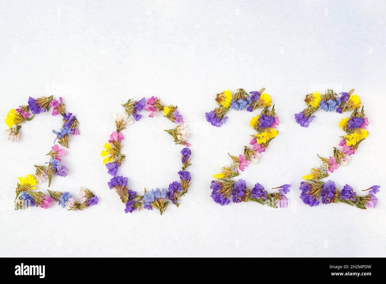 2022 calligraphy hi-res stock photography and images - Alamy