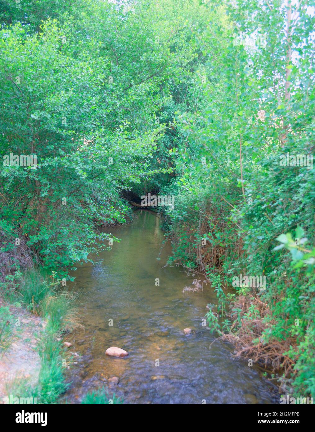 Rio jarama hi-res stock photography and images - Alamy