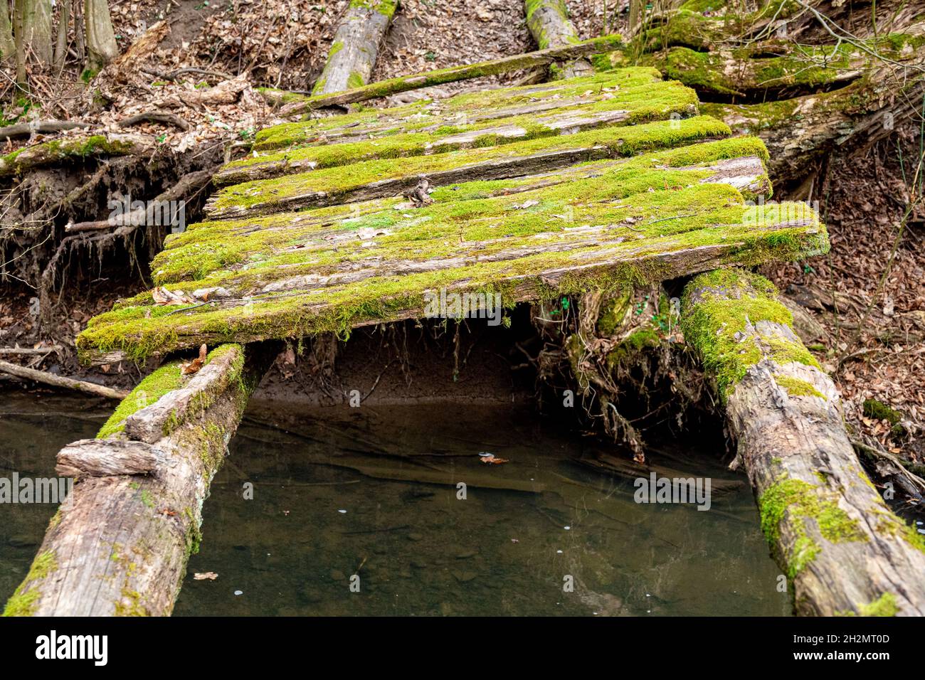 Old mossy bridge in forest hi-res stock photography and images - Alamy