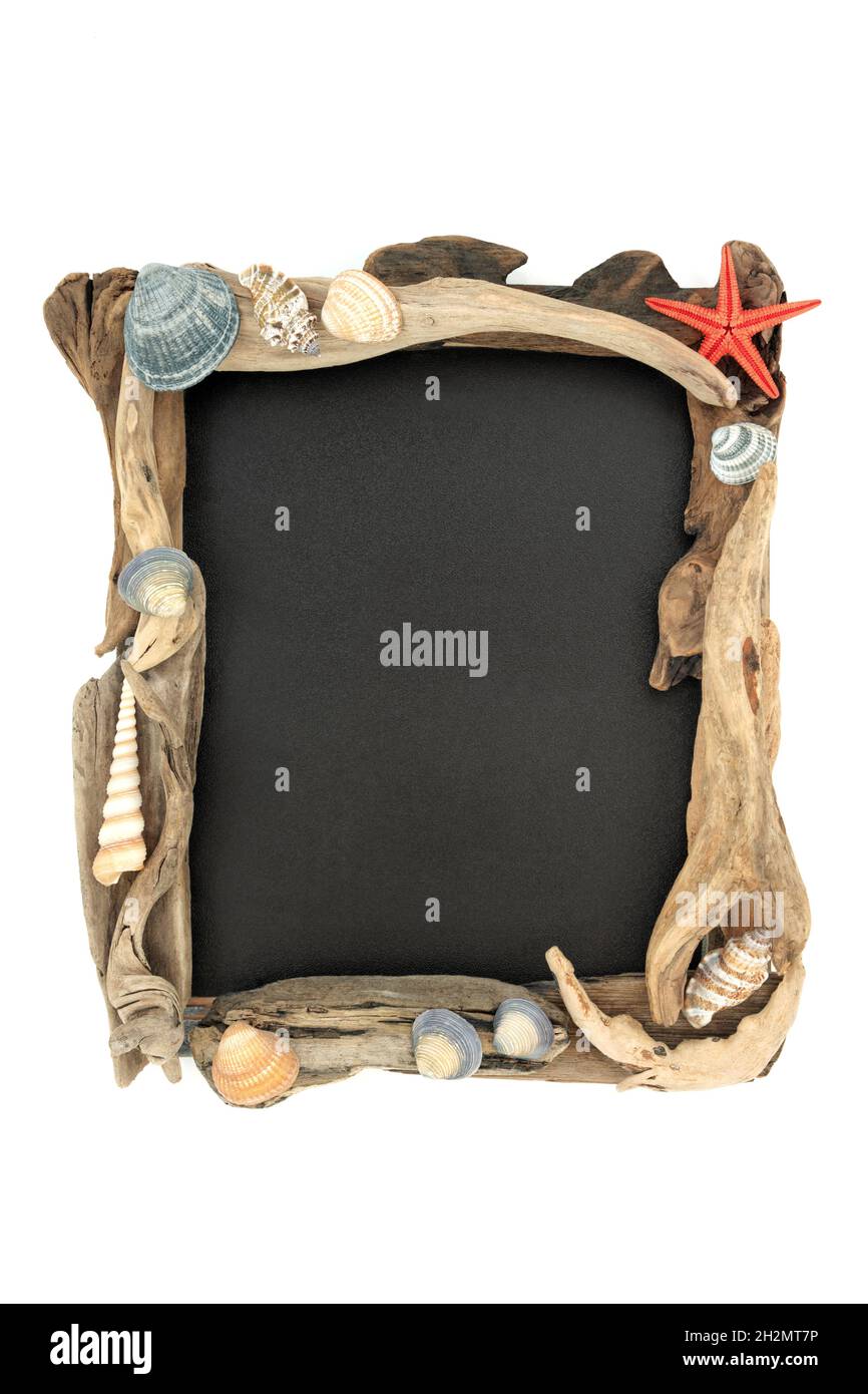 Driftwood and seashell natural abstract background border with chalk ...