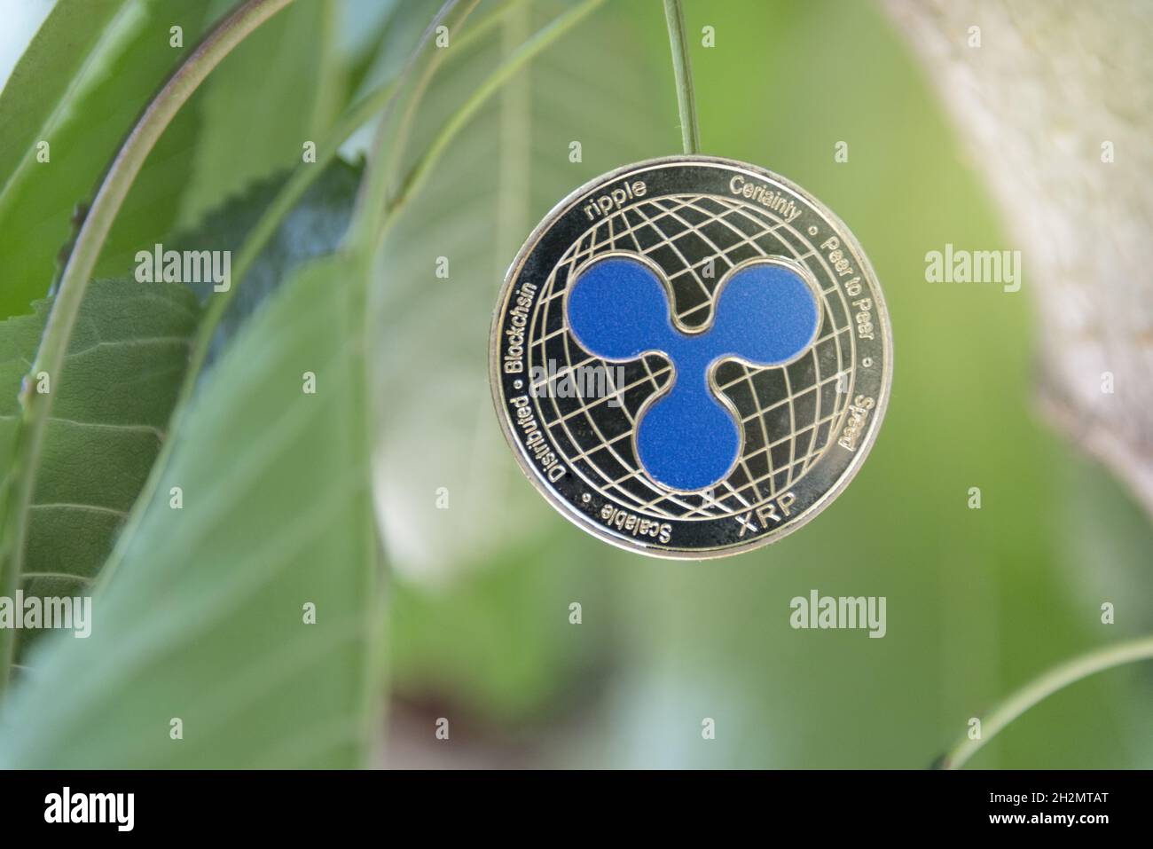 Ripple tech hi-res stock photography and images - Alamy
