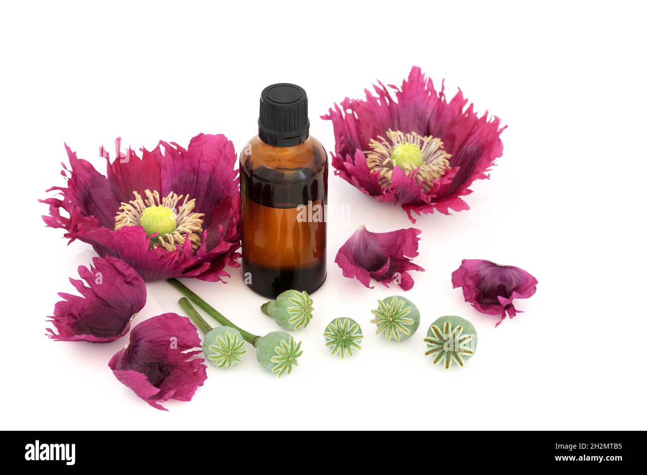 Poppy flowers and seed heads with medicine bottle. Seeds used in food ...